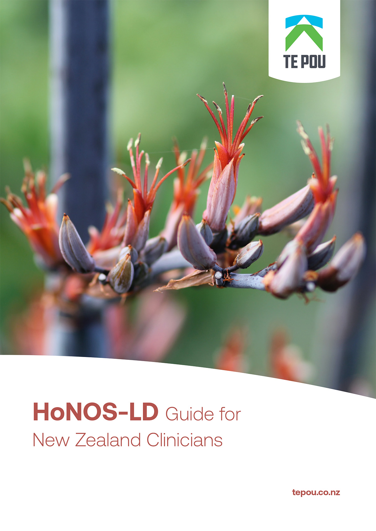 HoNOS-LD-Clinician-Guide-Nov-2022 – South Coast Psychology
