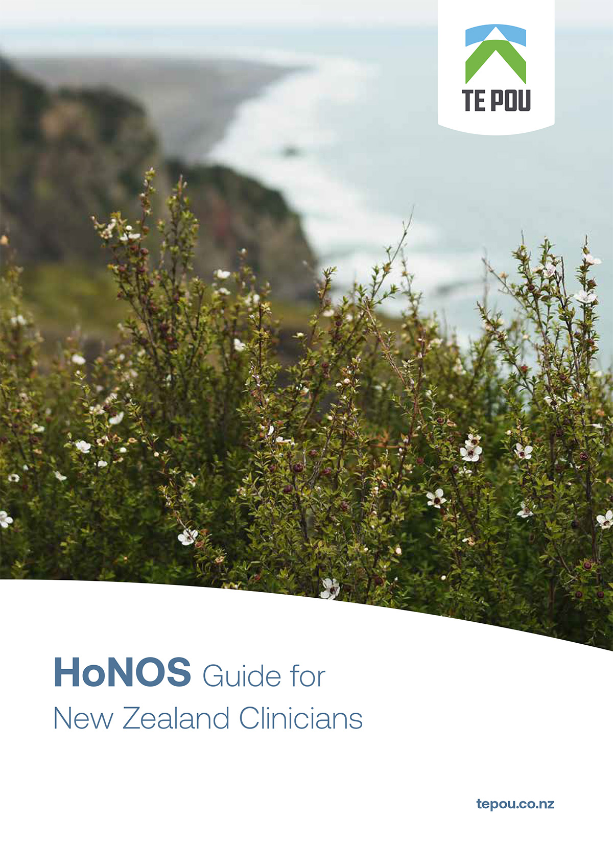 HoNOS-NZ-Clinician-Guide-April-2021 – South Coast Psychology